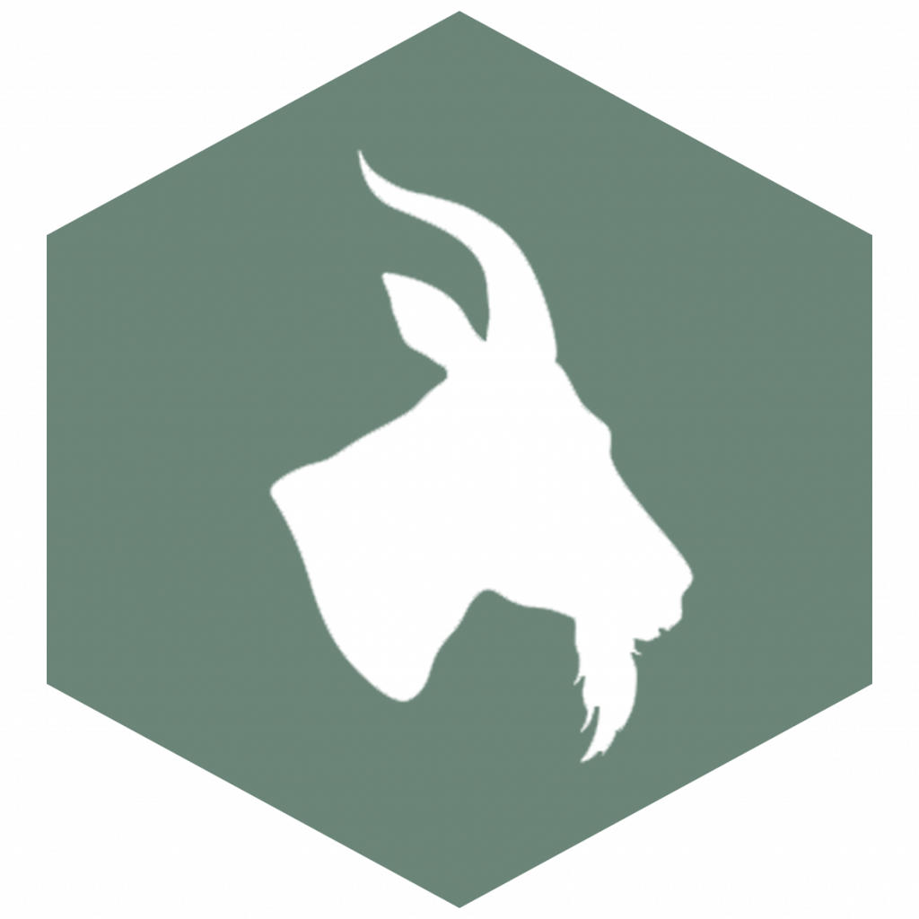 Main Animal De La Salle University main-animal-de-la-salle-university